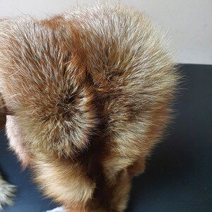 Gold Fox Pelt With Paws and Claws Fox Pelt Fox Skin Fox - Etsy