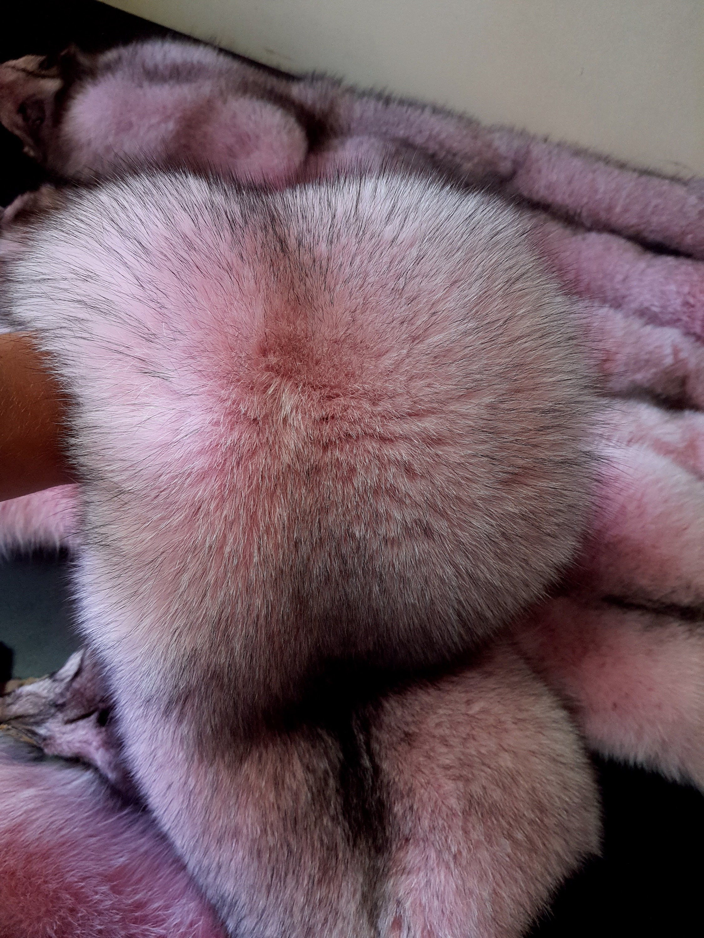 Pink Fox Pelt Fox Fur Fox Pelt Fox Pelts Fox Skin Pink - Etsy