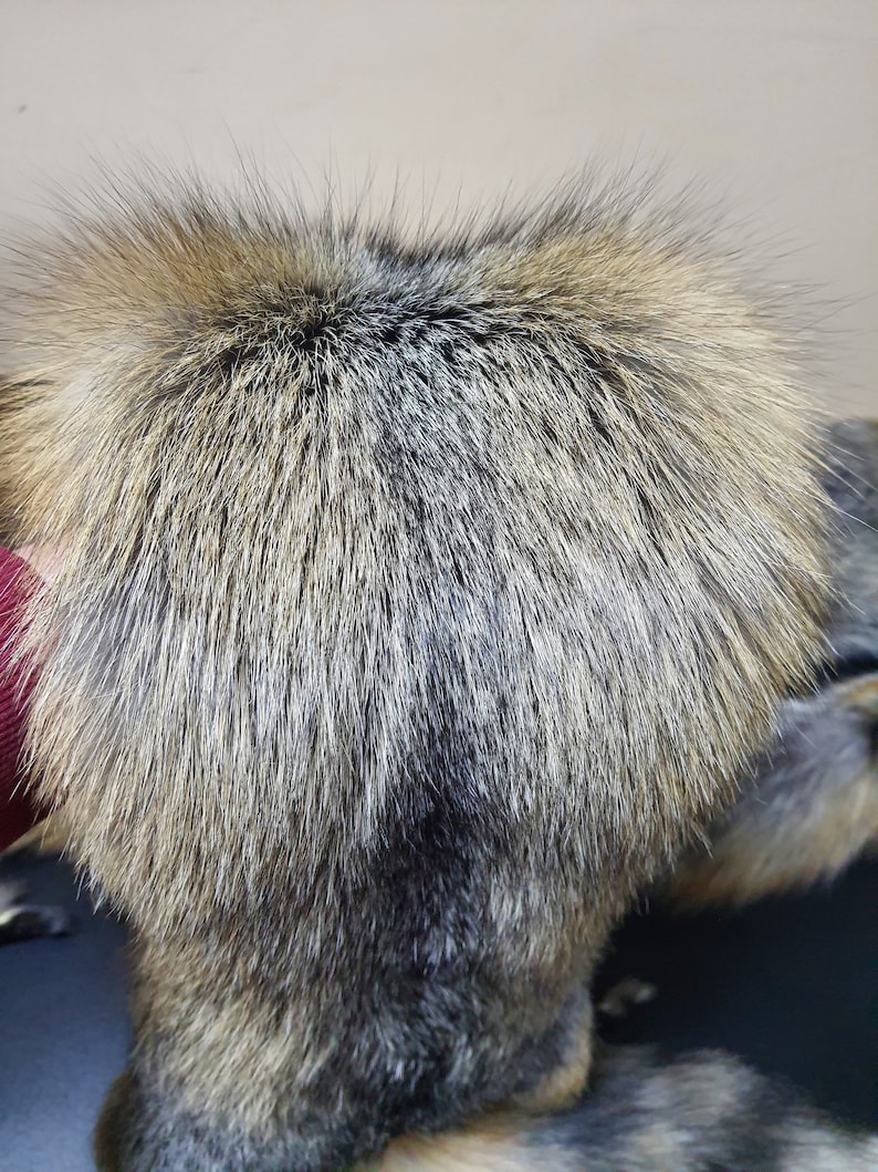 Cross Fox Pelt Fox Pelt Fox Pelts Fox Fur Real Fur Real | Etsy