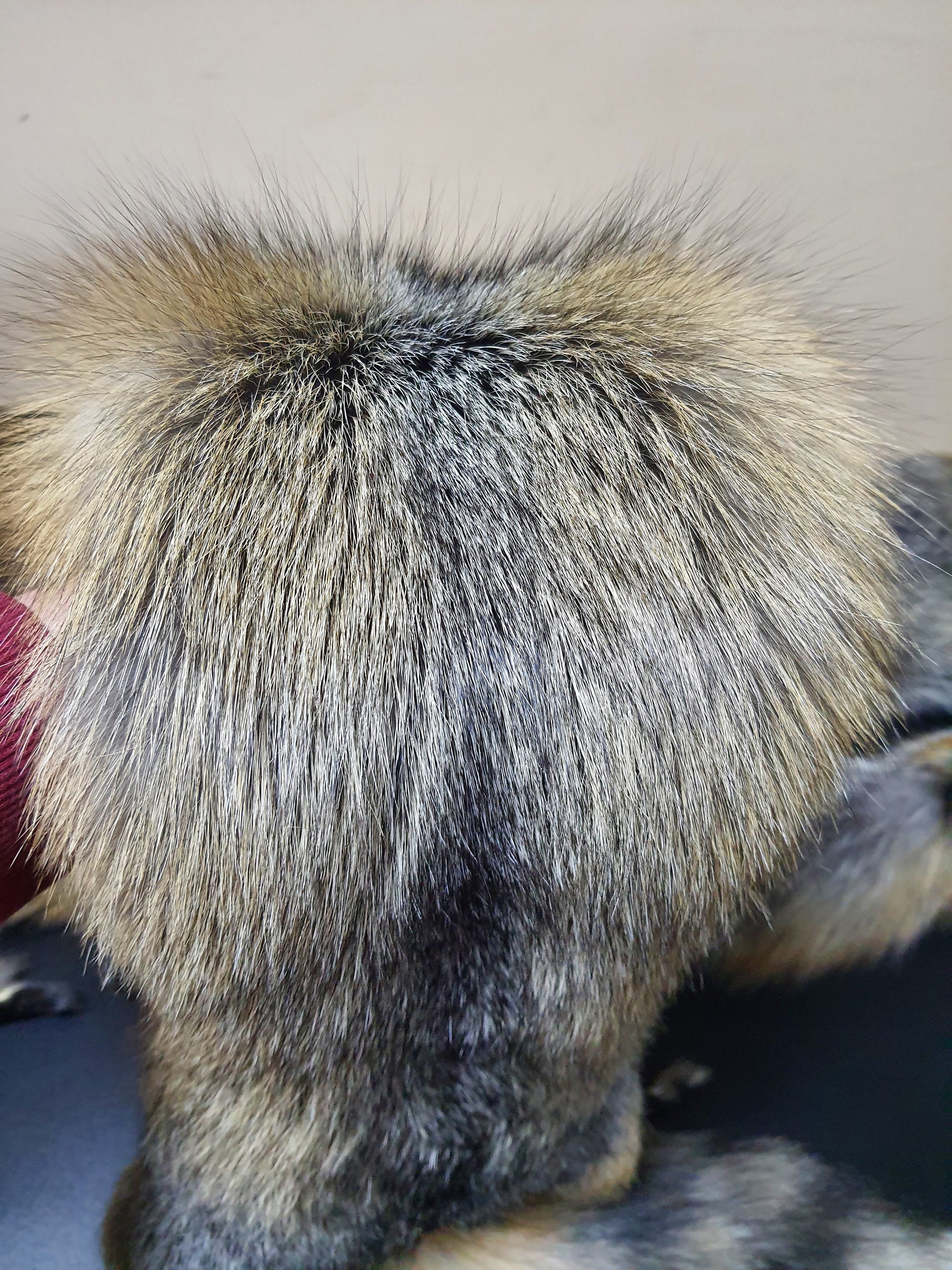 Cross Fox Pelt Fox Pelt Fox Pelts Fox Fur Real Fur Real - Etsy Australia