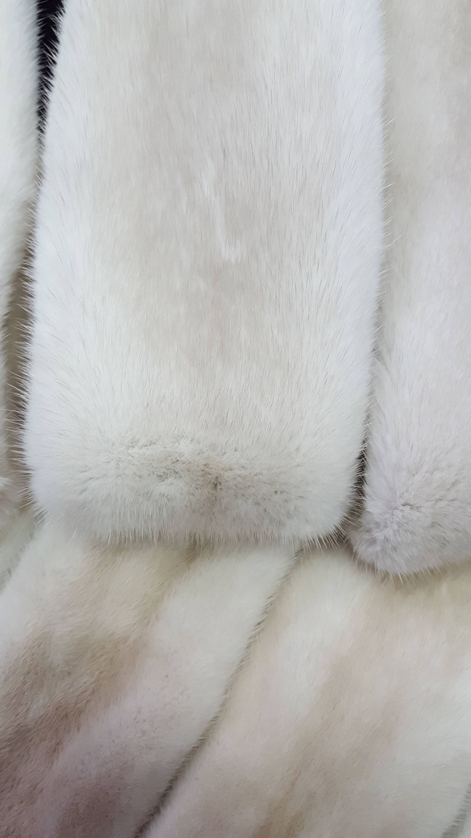 Beige mink pelt mink skin mink pelt mink hide mink fur | Etsy