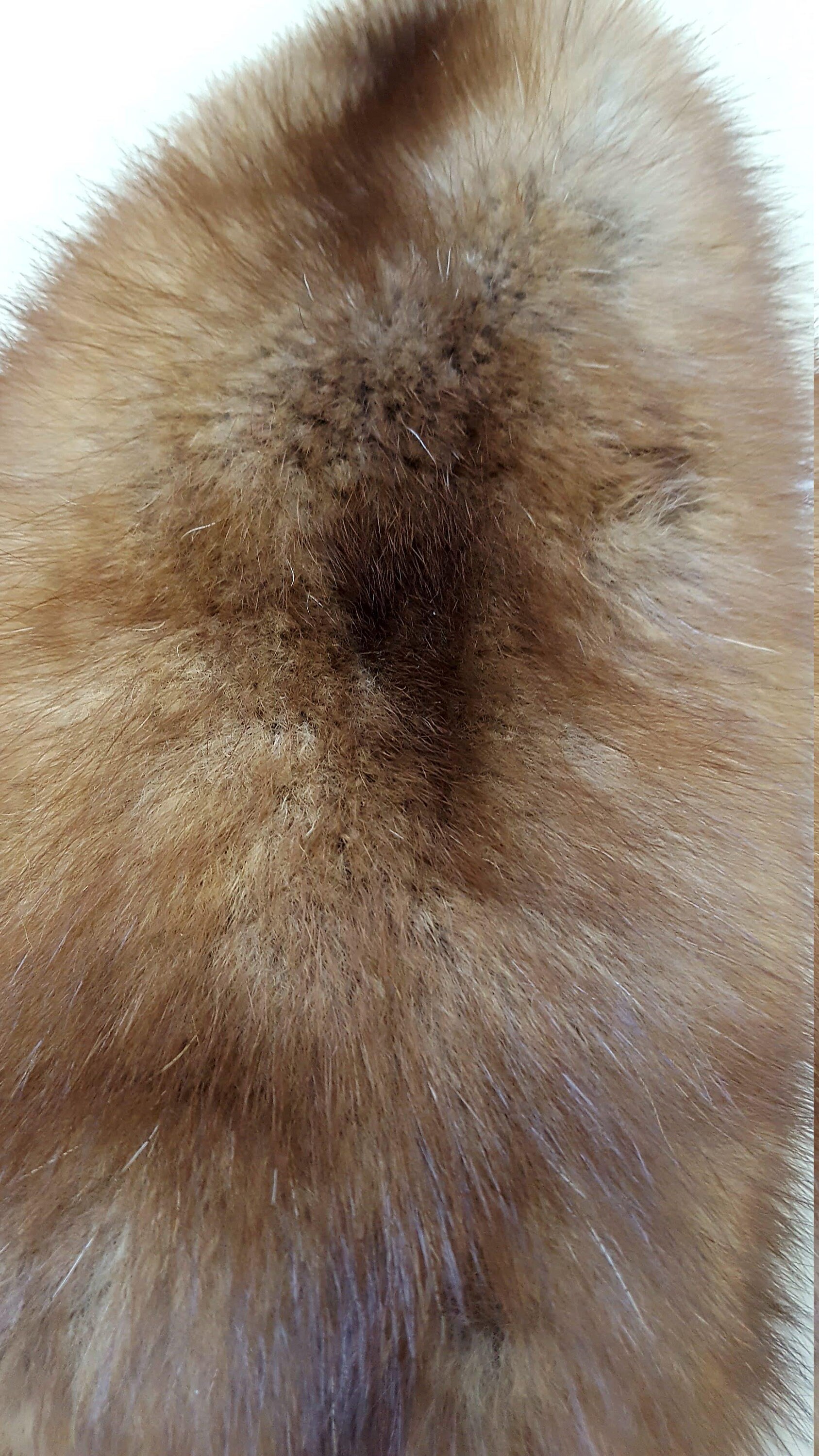Handmade Winter Real Sable Fur Mittens for Women - Etsy