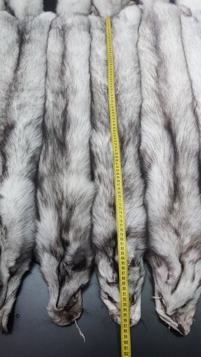 Real Fox Pelt Shadow Fox Pelt Fox Pelt Fox Fur Fox Skin - Etsy