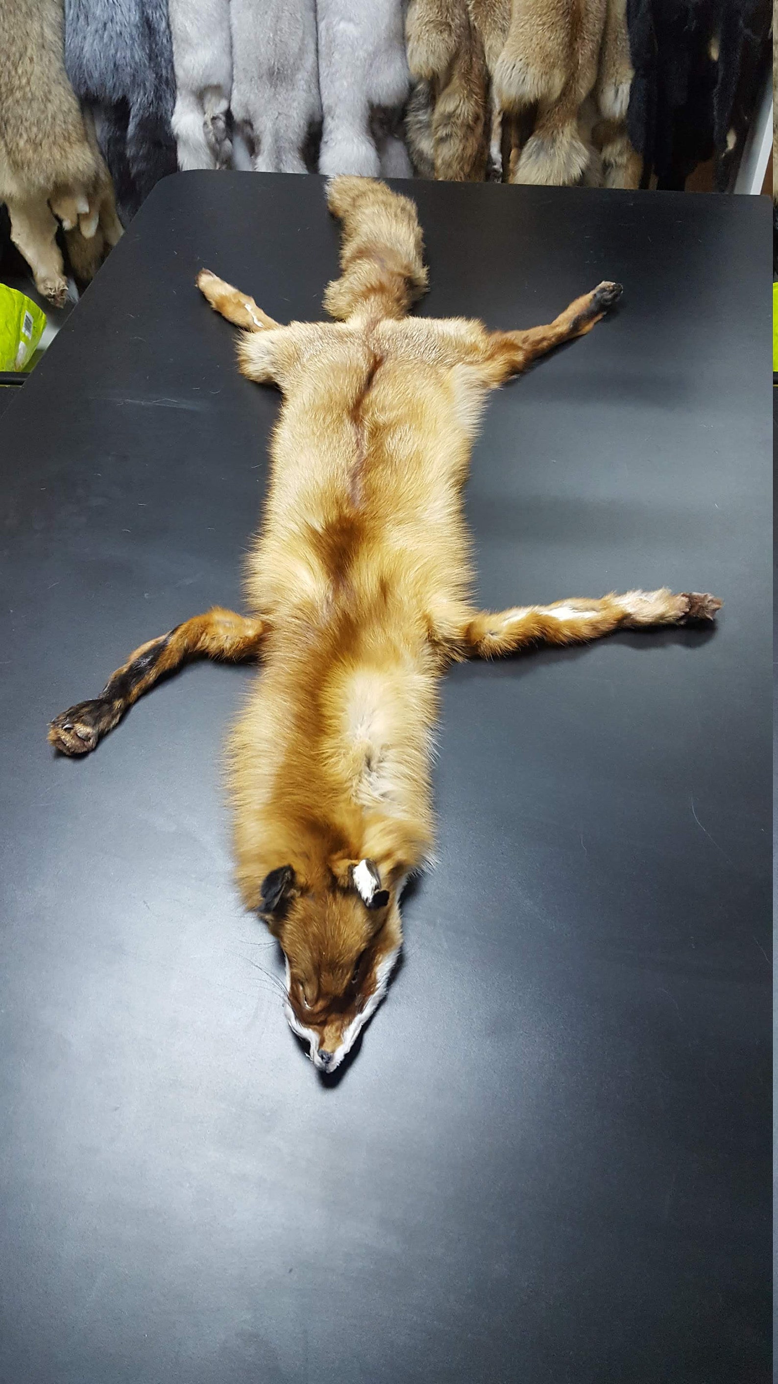 Gold Fox Pelt With Paws and Claws Fox Pelt Fox Skin Fox - Etsy