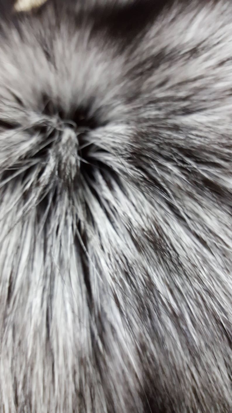 Finnish Silver Fox Furry Silver Fox Silver Fox Pelt Fox - Etsy