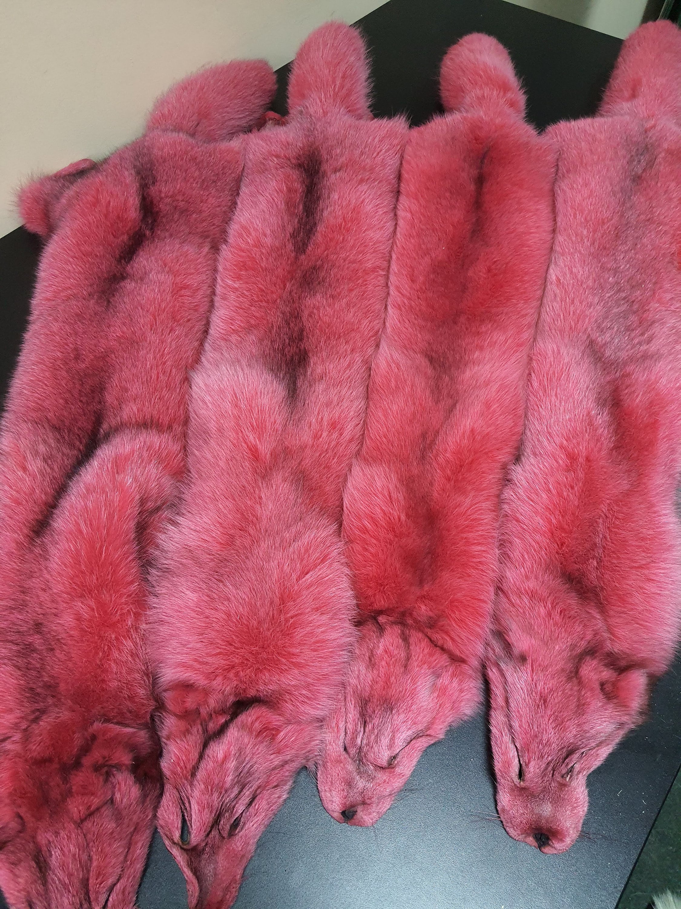 Red Finnish Fox Furry Crimson Polar Fox Crimson Fox Pelt - Etsy