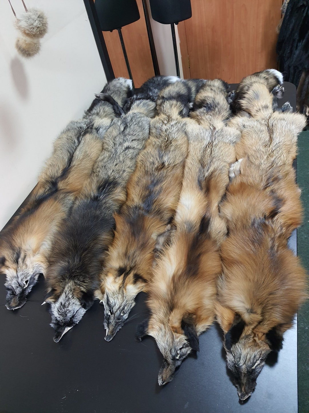 Cross Fox Pelt With Paws and Claws , Fox Pelt, Fox Pelts, Fox Fur, Real ...