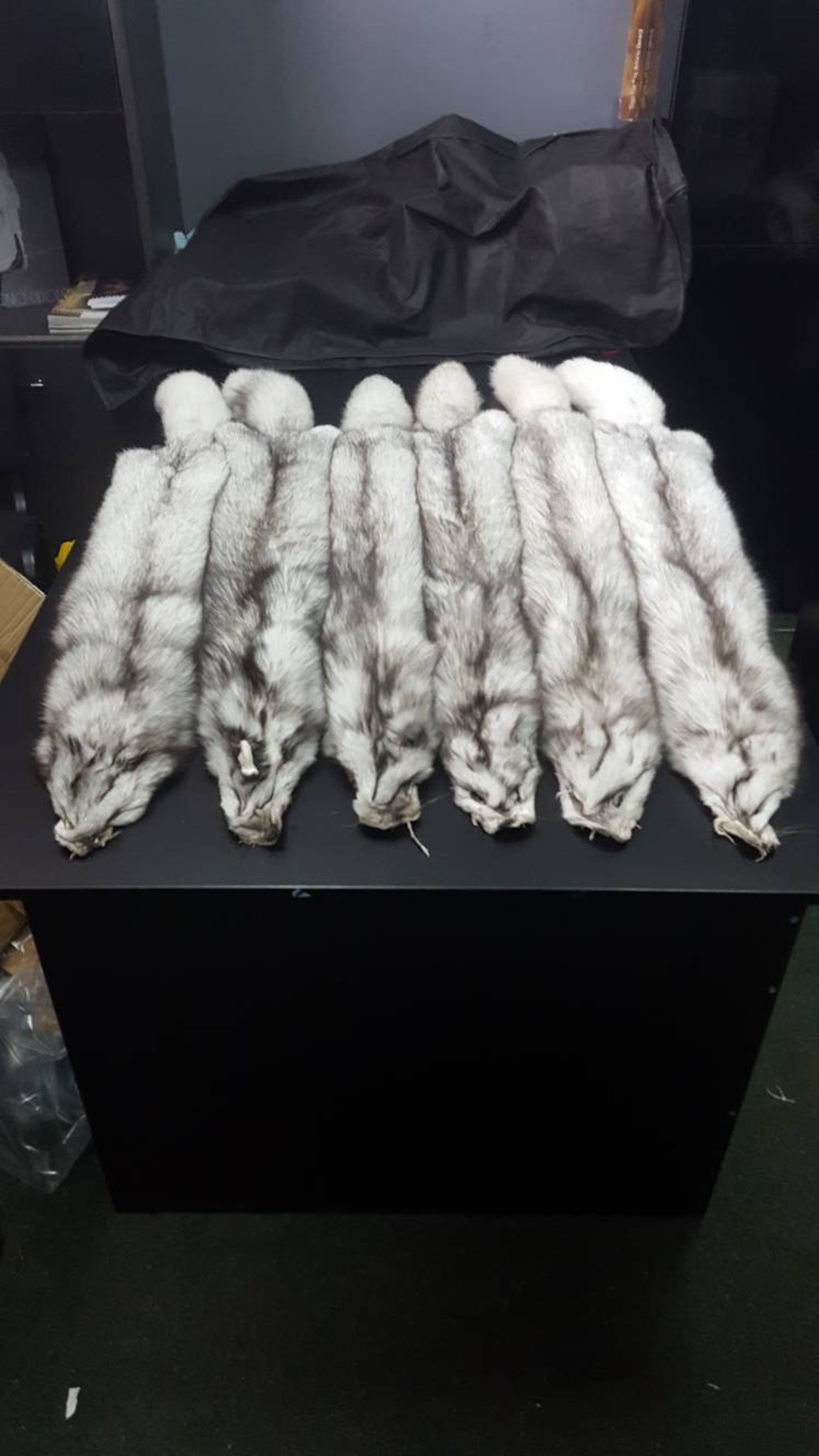 Real Fox Pelt Shadow Fox Pelt Fox Pelt Fox Fur Fox Skin - Etsy