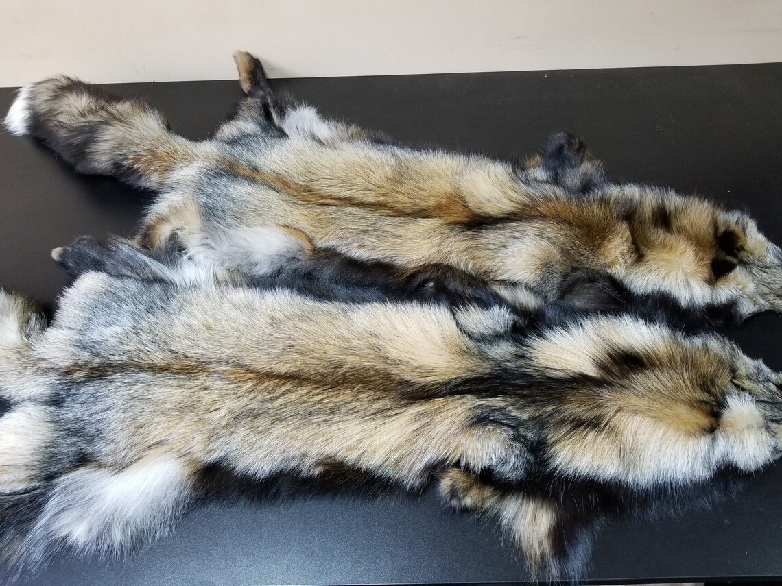 Cross fox pelt fox pelt fox pelts fox fur real fur real | Etsy