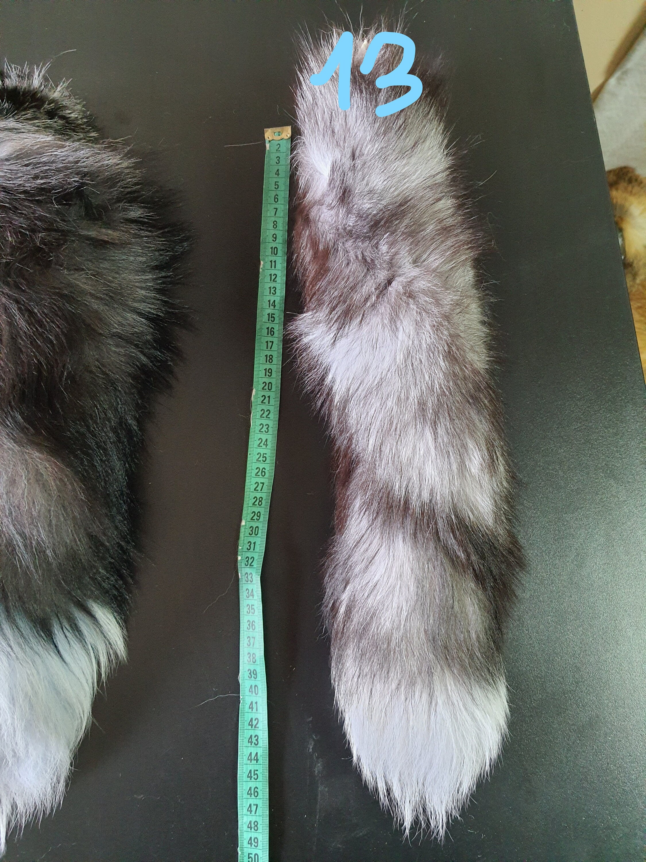 Large Silver Fox Tail Fox Tail Silver Fox Tail Fur Tail - Etsy Australia