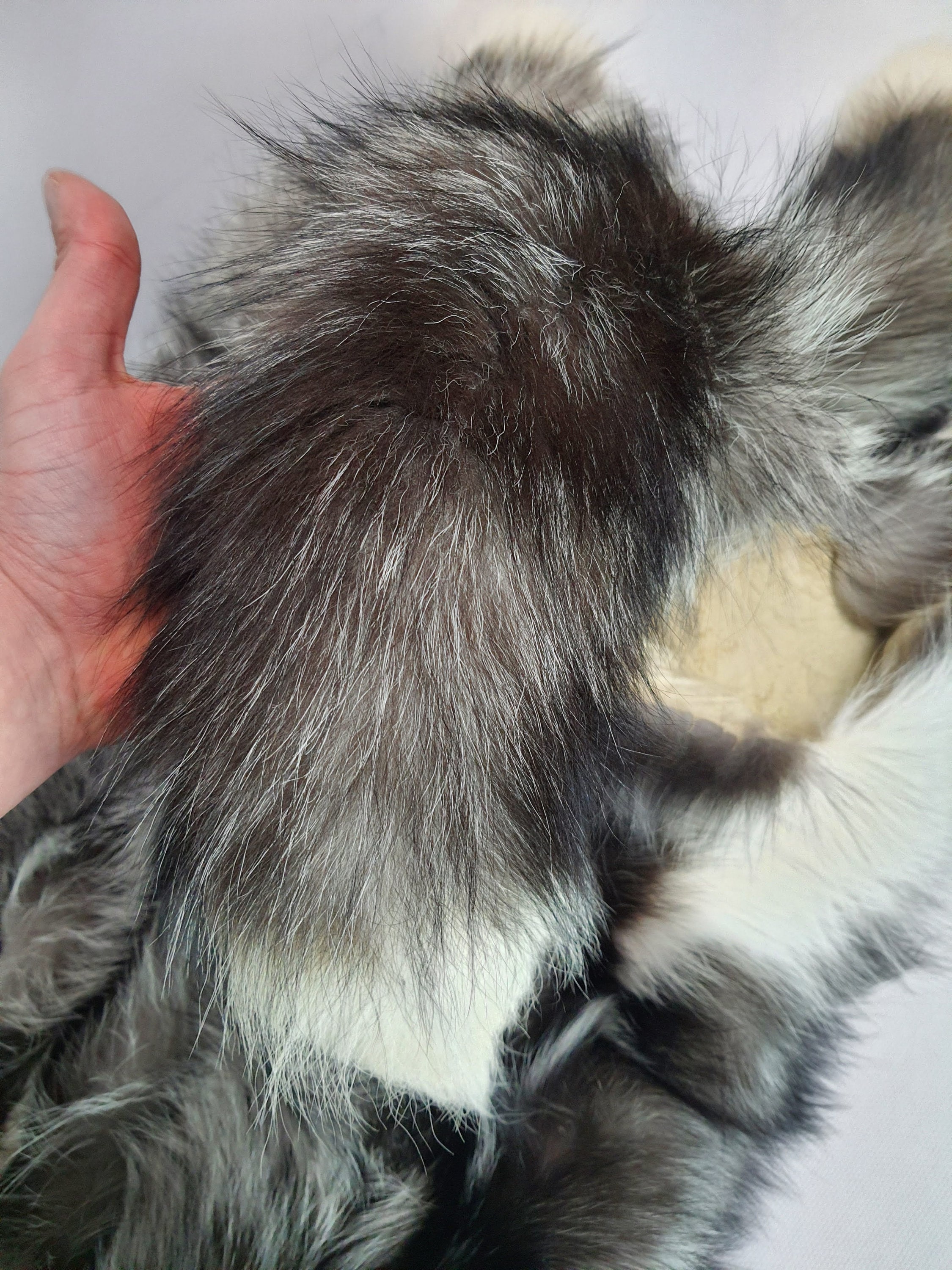 Silver Cross Fox Pelt With Paws and Claws Silver Fox Fox - Etsy