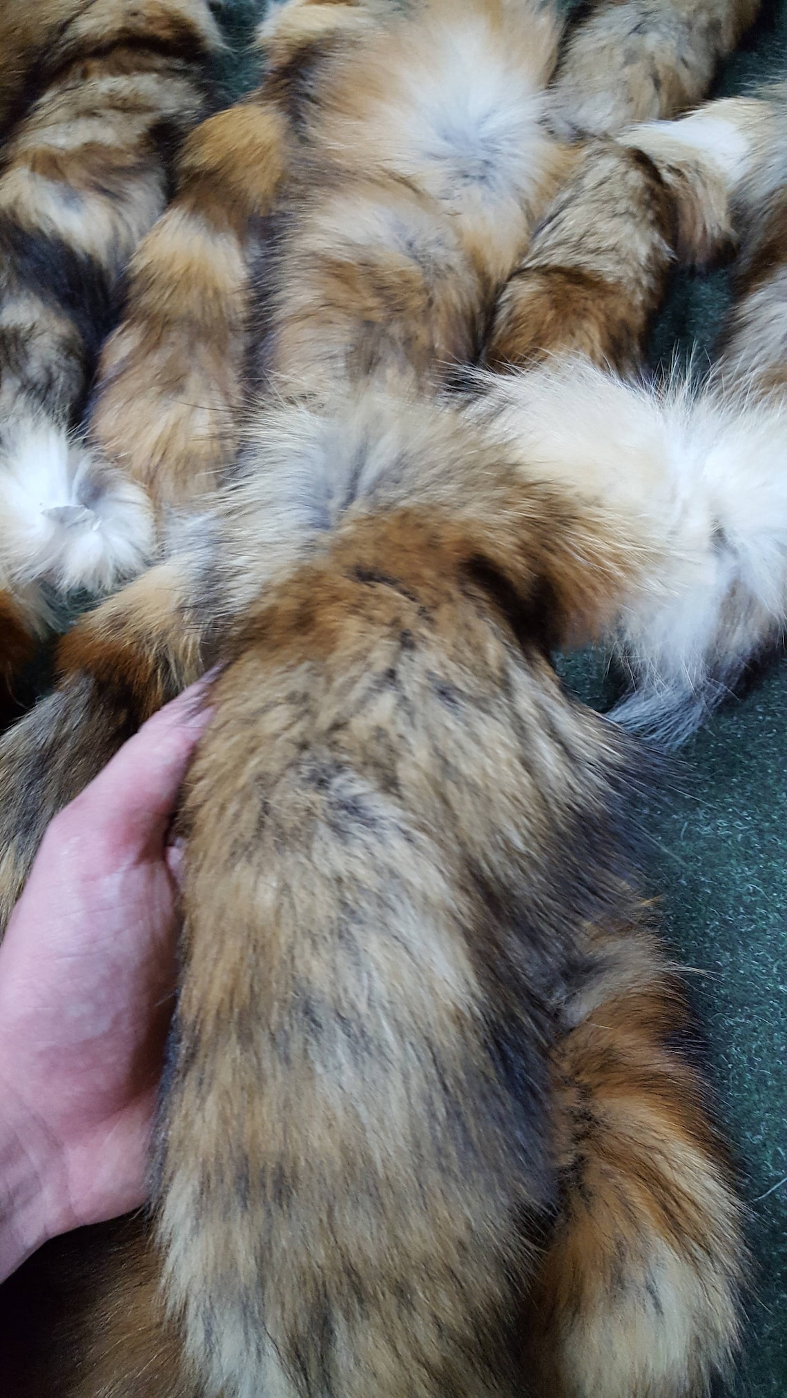 Real fox tail fox tail fox tails red fox red fox tail fox | Etsy