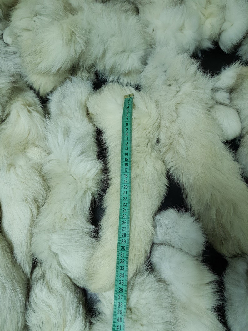 Real Fox Tail Fox Tail Fox Tails Shadow Fox Shadow Fox - Etsy Australia