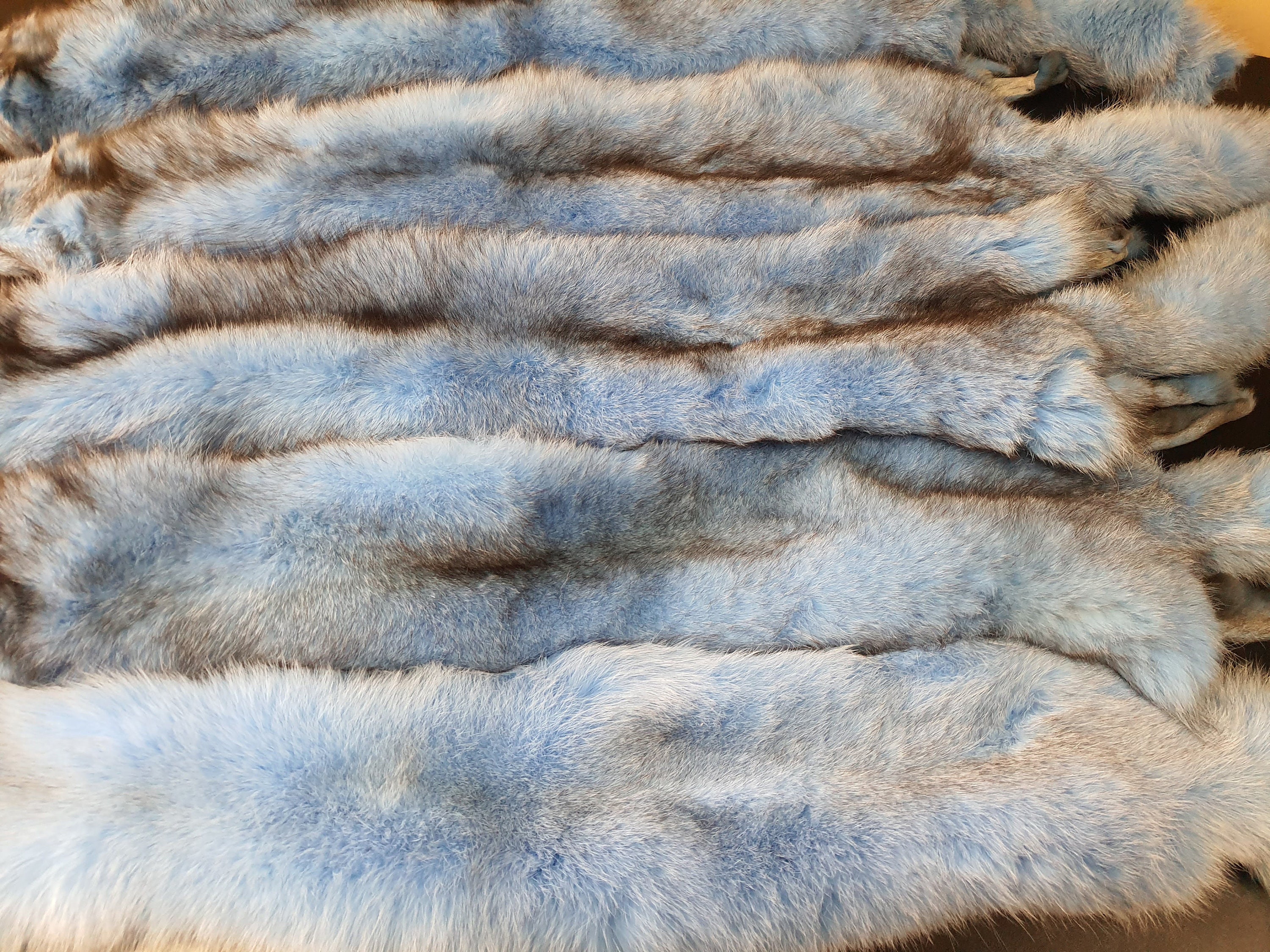Blue Fox Pelt Fox Fur Fox Pelt Fox Pelts Fox Skin Blue - Etsy Finland
