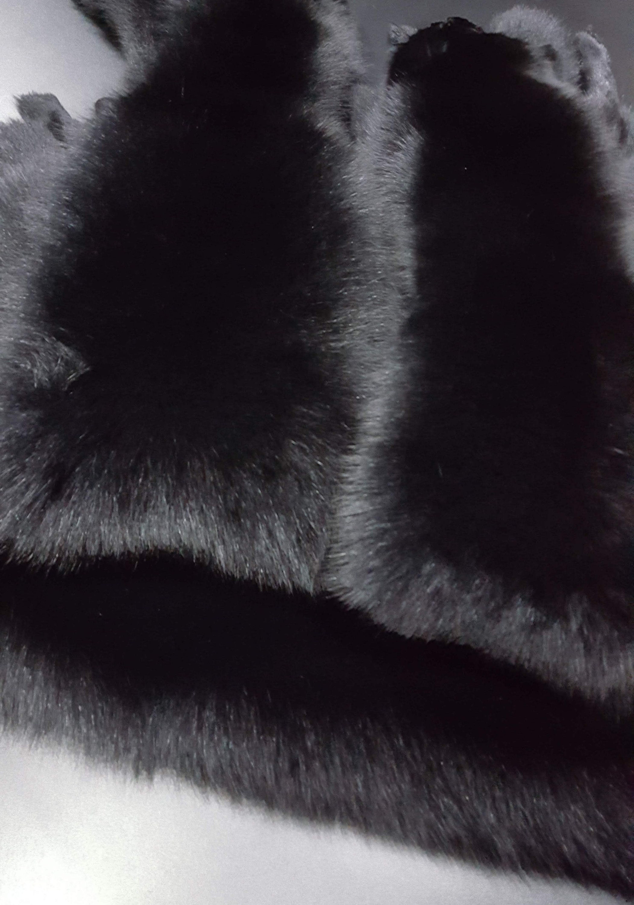 Black Fox Shadow Fox Blue Fox Real Fox Fox Black Fox Fox - Etsy