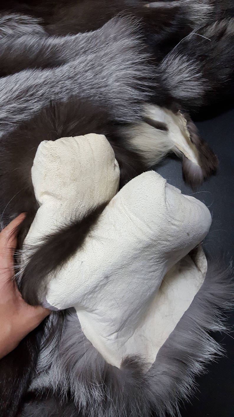 Finnish Silver Fox Furry Silver Fox Silver Fox Pelt Fox - Etsy