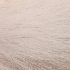 Large White Fox Tail Keychain With Gold Ring - Etsy