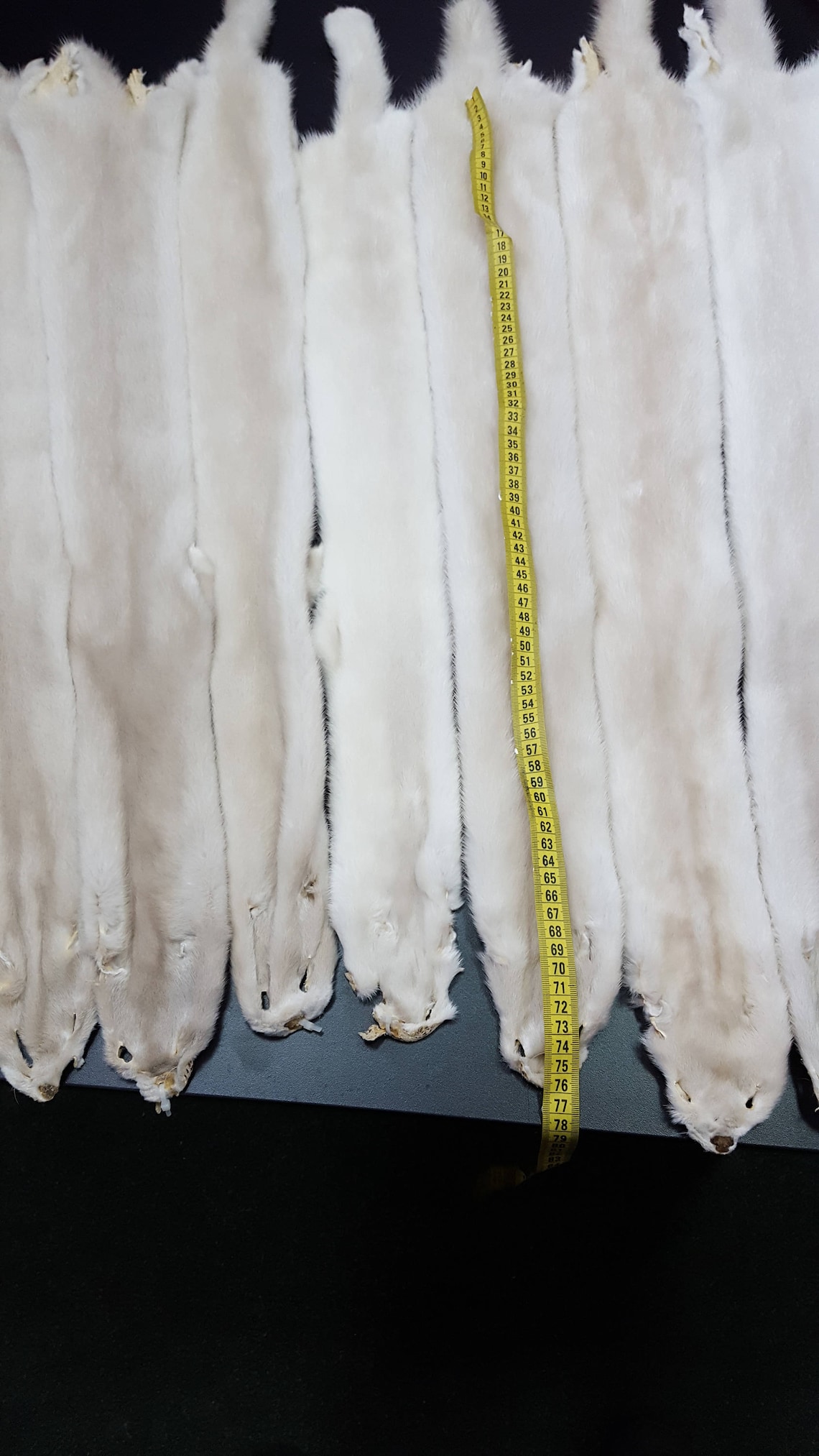 Beige Mink Pelt Mink Skin Mink Pelt Mink Hide Mink Fur - Etsy