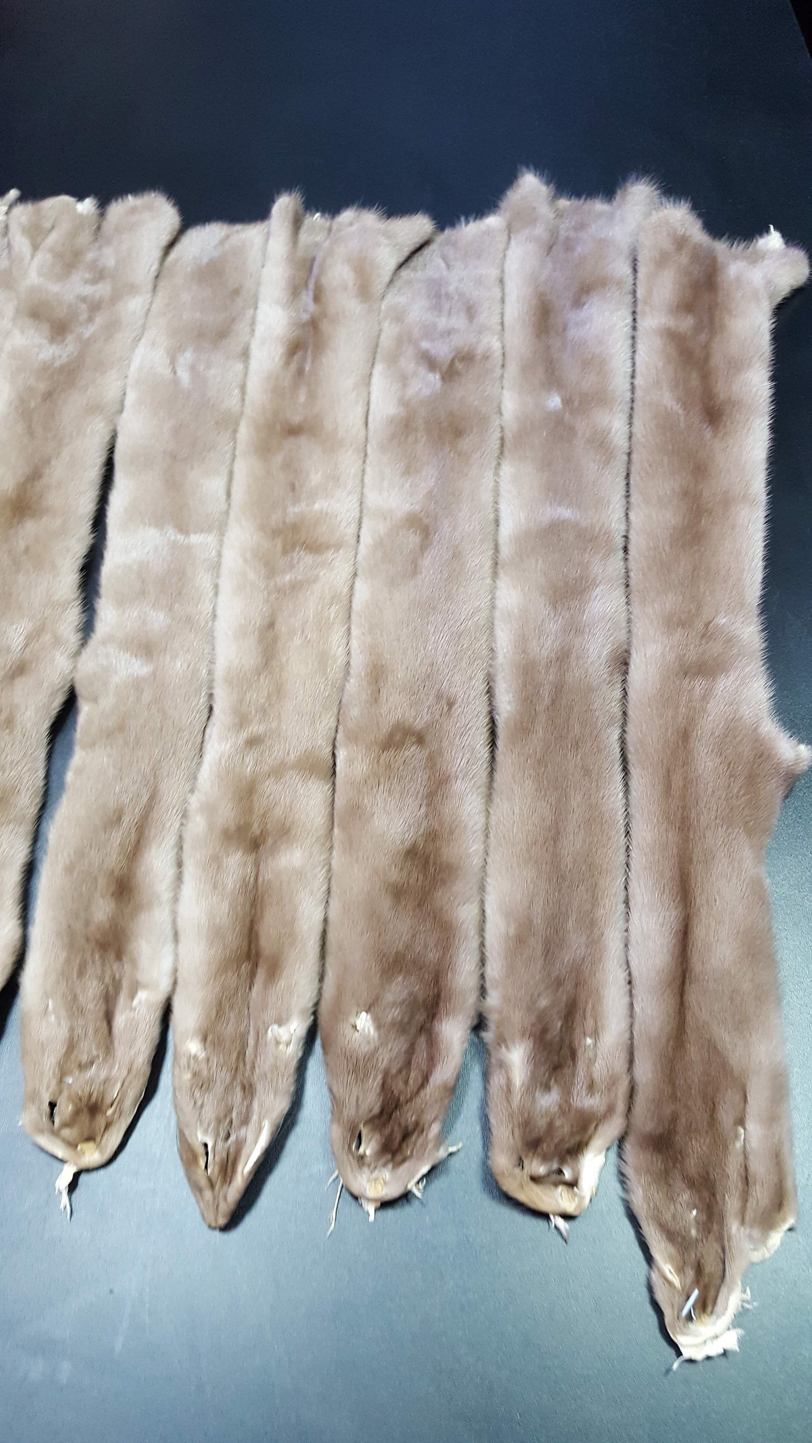 Pastel Mink Pelt Mink Fur Mink Hide Mink Skin Real Mink | Etsy