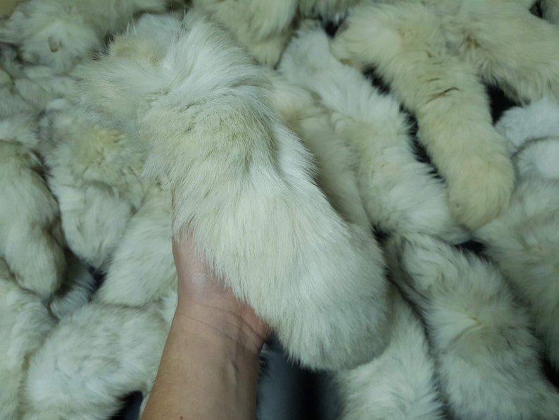 Real Fox Tail Fox Tail Fox Tails Shadow Fox Shadow Fox - Etsy Australia