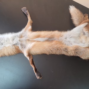 Gold Fox Pelt With Paws and Claws Fox Pelt Fox Skin Fox - Etsy