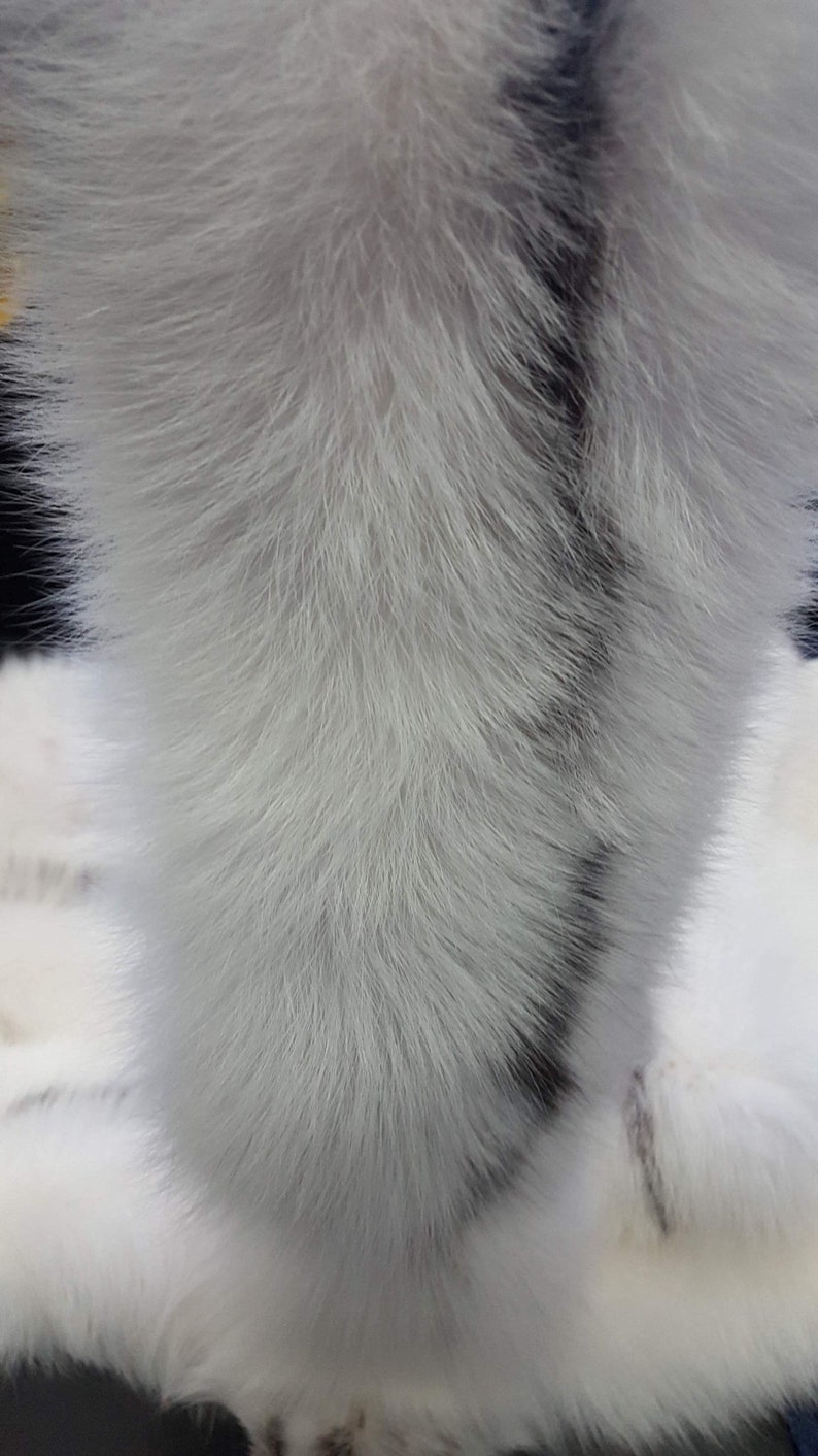White fox pelt fox pelt fox pelts arctic marble fox fur | Etsy