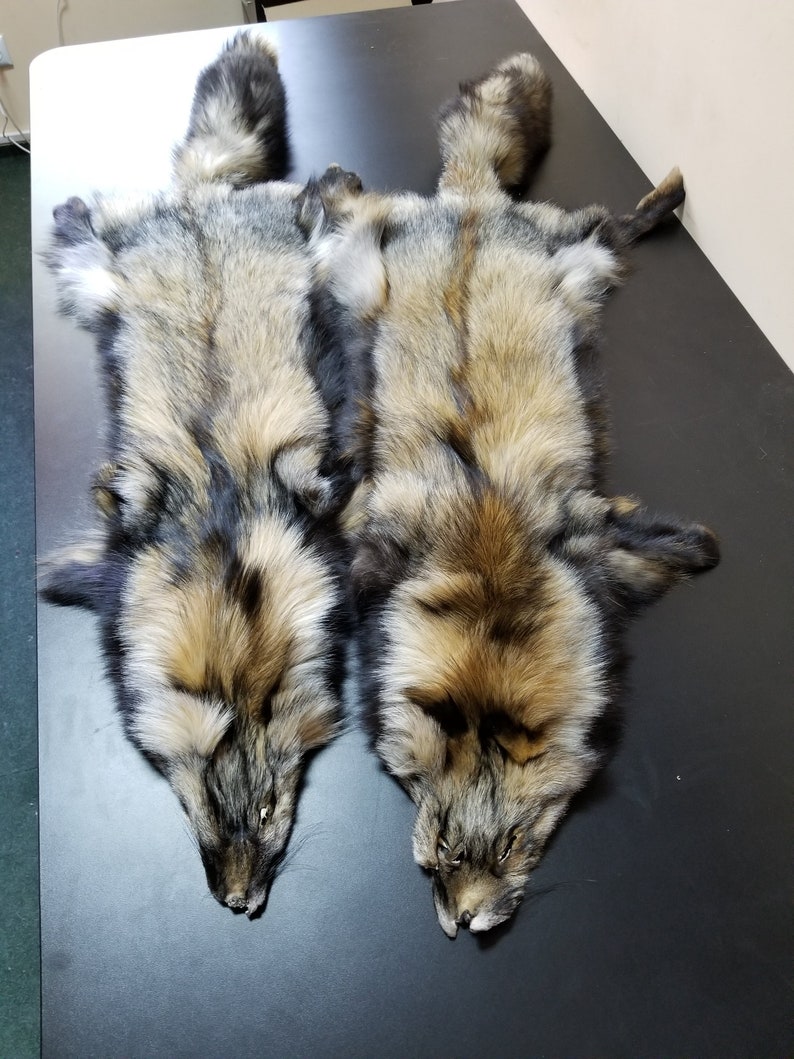 Cross Fox Pelt Fox Pelt Fox pelzen vos-bont echt bont | Etsy