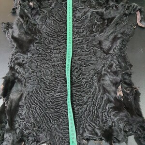 Karakul Fur Pelt, Fur, Real Fur, Fur Pelts, Fur Skin, Genuine Fur ...