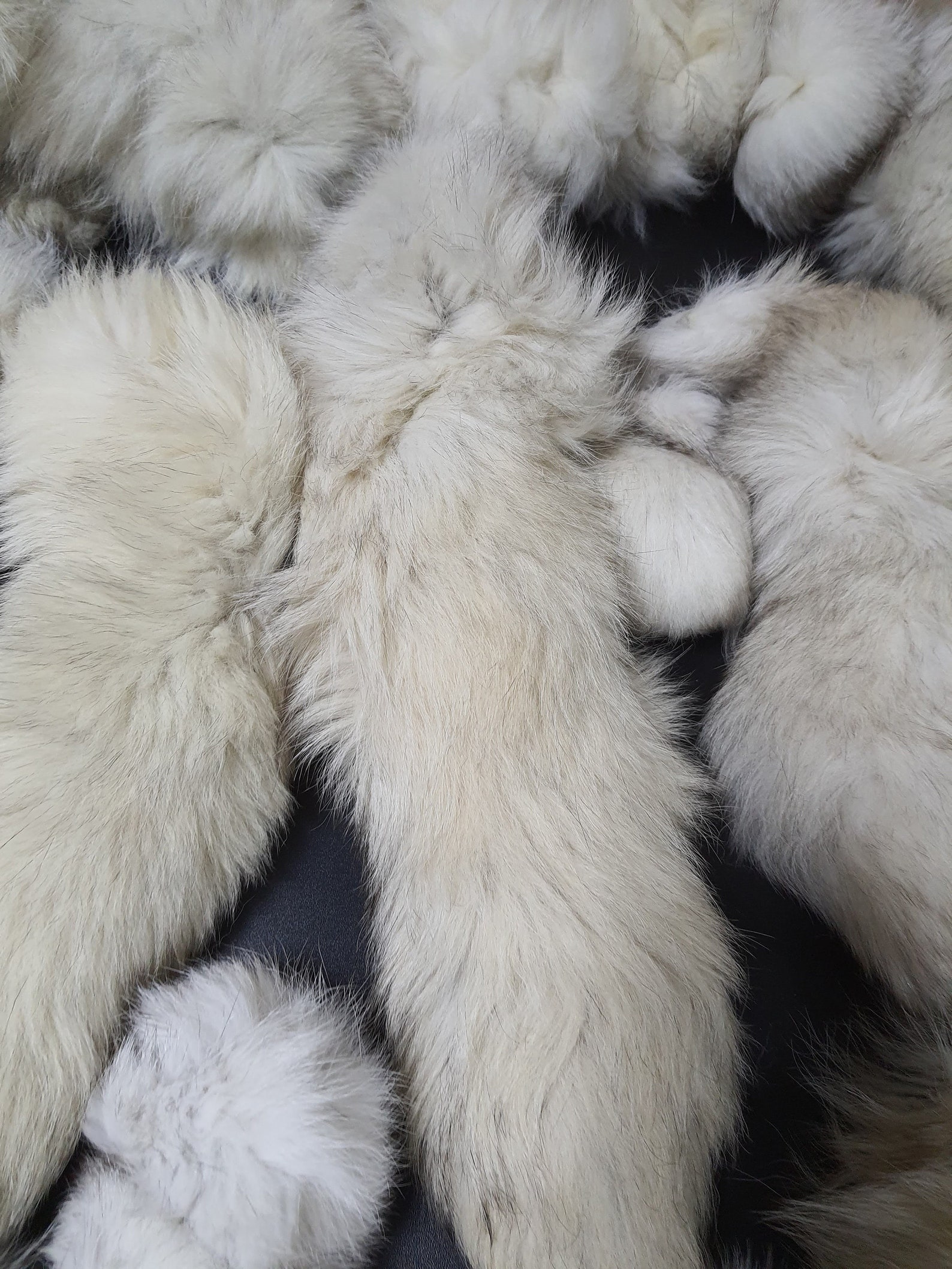 Real Fox Tail, Fox Tail, Fox Tails, Shadow Fox, Shadow Fox Tail, Fox ...