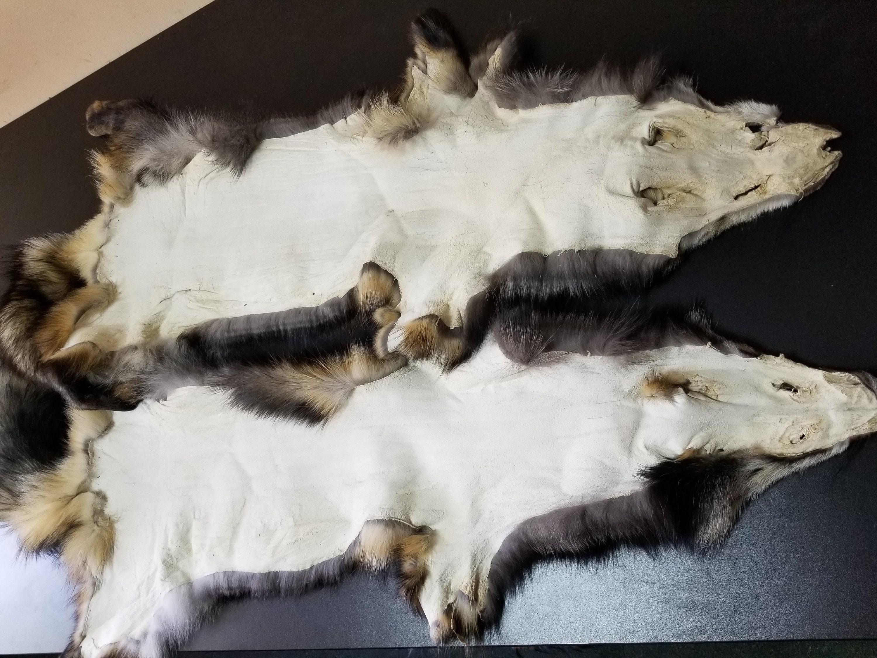 Cross fox pelt fox pelt fox pelts fox fur real fur real | Etsy