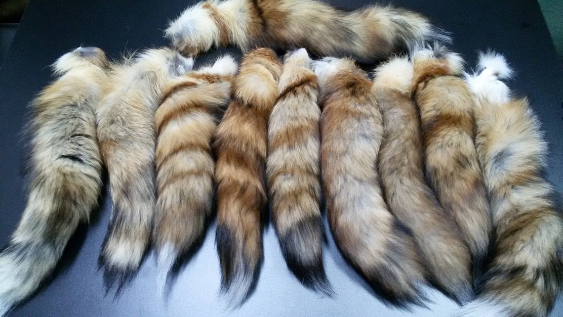 Real fox tail fox tail fox tails red fox red fox tail fox | Etsy