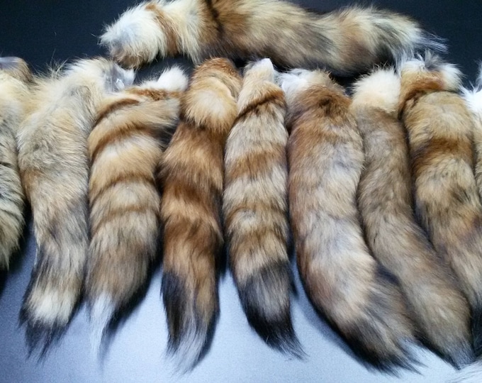 Real Fox Tail, Fox Tail, Fox Tails, Red Fox, Red Fox Tail, Fox Fur ...