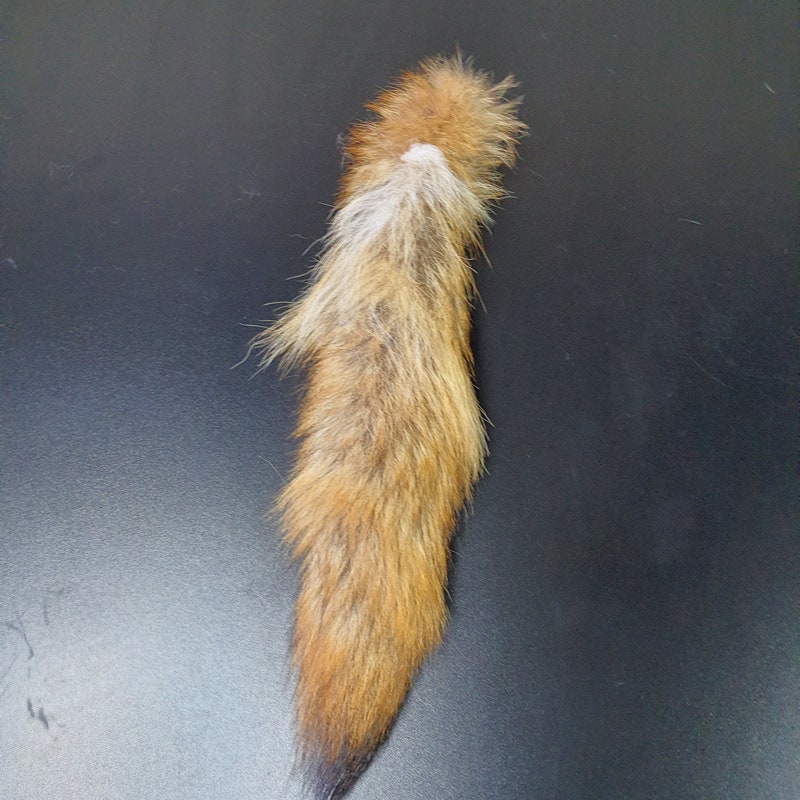 Coyote Tail - Etsy