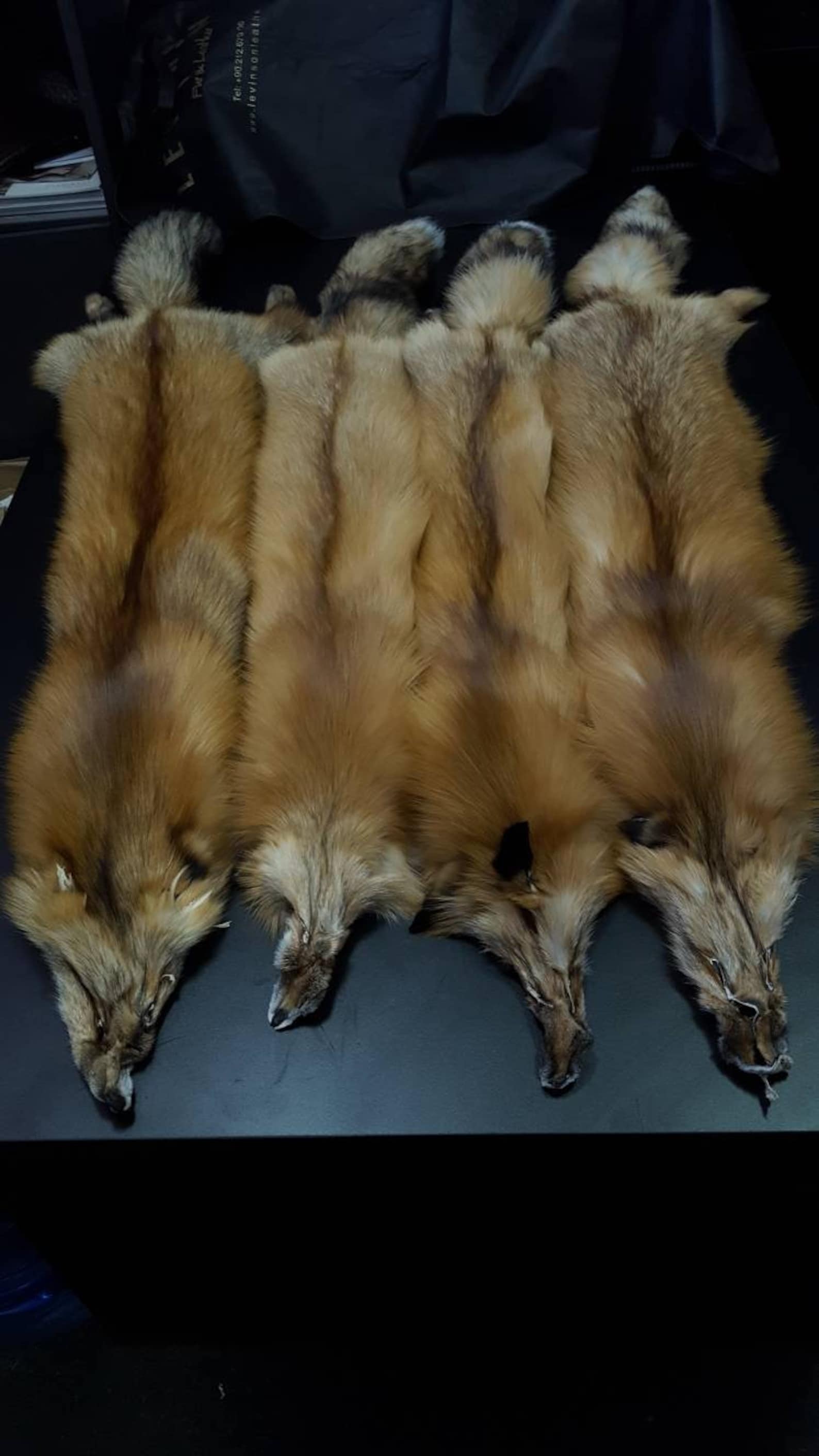 Finnish Saga Foxes, Fox Fur, Real Fur, Saga Fur, Saga Fox, Red Fox, Fox ...