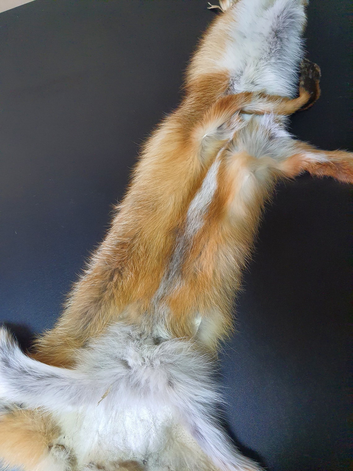Gold Fox Pelt With Paws and Claws Fox Pelt Fox Skin Fox - Etsy