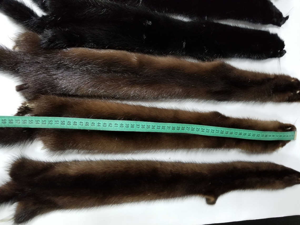 Real Mink Pelt Mink Pelts Mink Fur Real Fur Mink Skin - Etsy