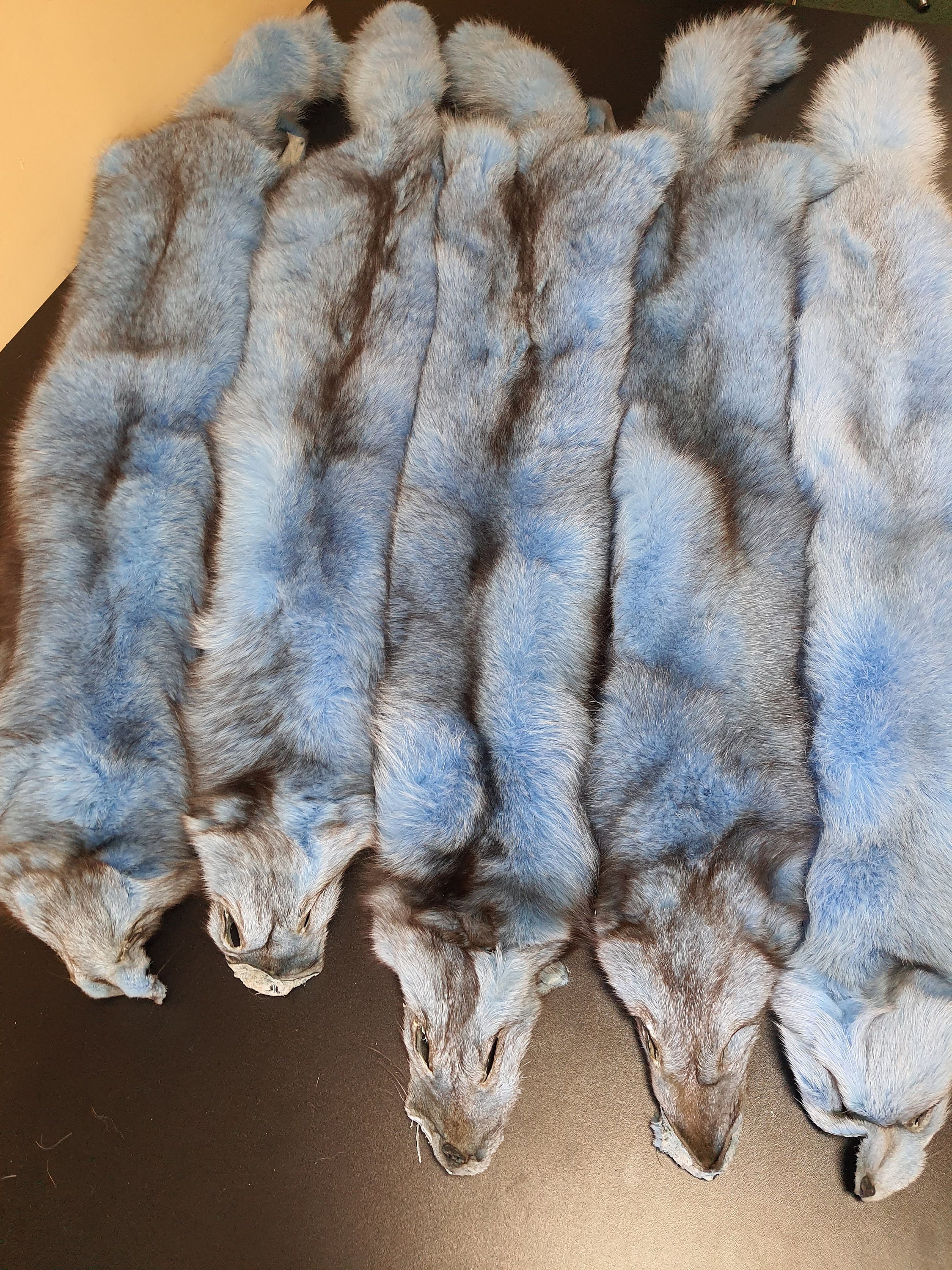 Blue Fox Pelt Fox Fur Fox Pelt Fox Pelts Fox Skin Blue - Etsy Finland