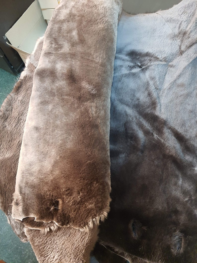 Dyed Sheared Beaver Pelt Colored Beaver Fur Paint Real | Etsy