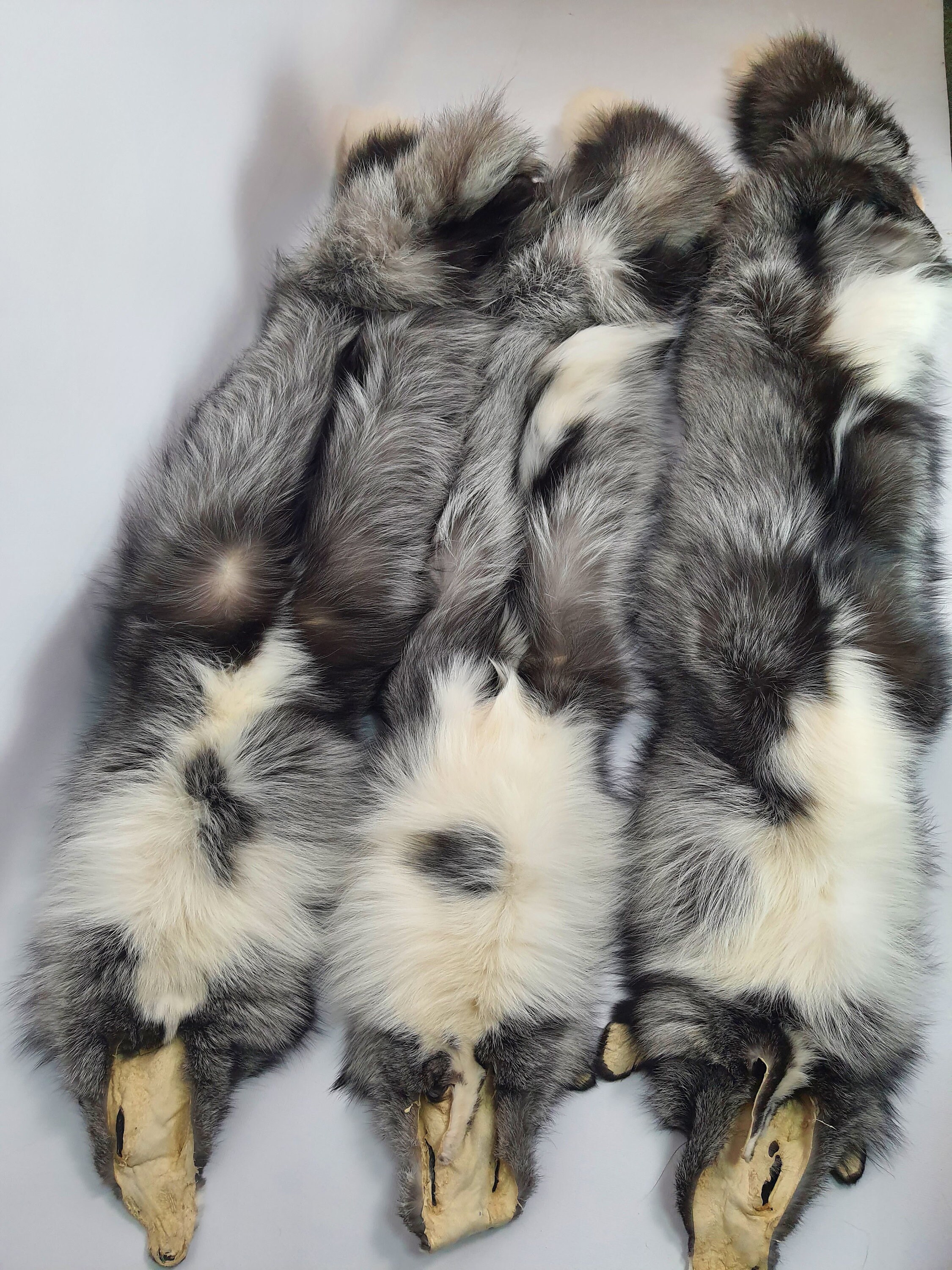 Silver Cross Fox Pelt With Paws and Claws Silver Fox Fox - Etsy