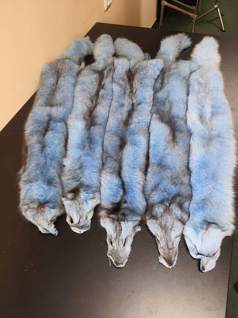 Blue Fox Pelt Fox Fur Fox Pelt Fox Pelts Fox Skin Blue | Etsy