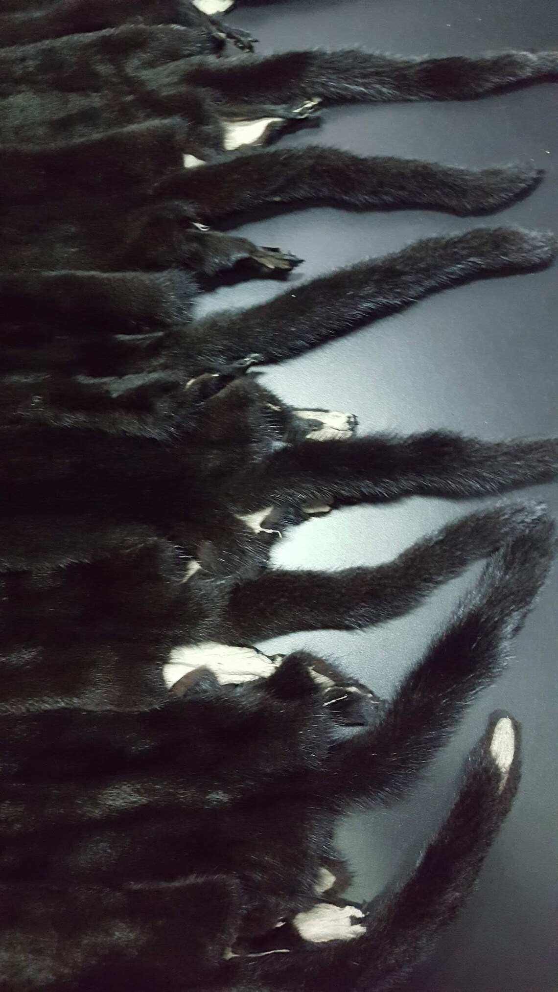 Mink Pelt Black Mink Skin Black Mink Fur Mink Hide Mink - Etsy