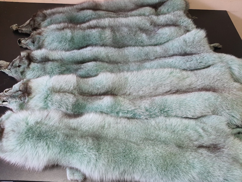 Light Green Fox Pelt Light Green Shadow Fox Pelt Light Green - Etsy