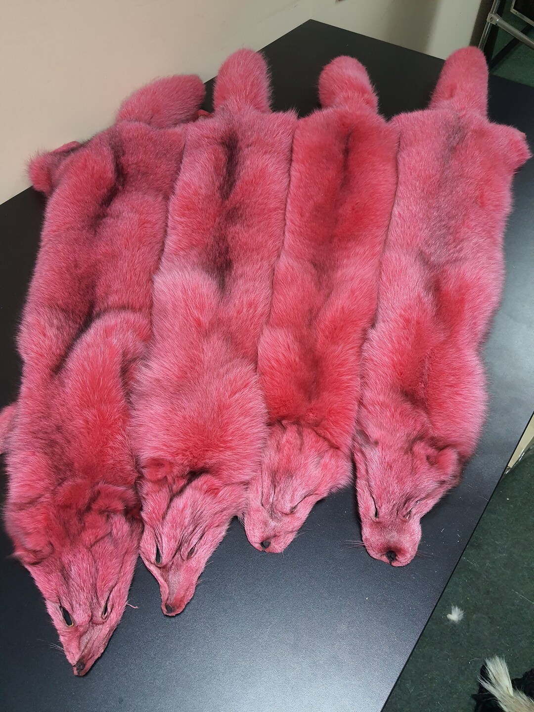 Red Finnish Fox, Furry Crimson Polar Fox, Crimson Fox Pelt, Fox Pelt ...