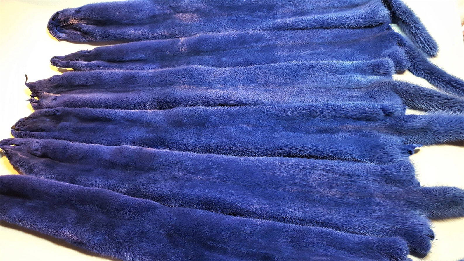 Blue Mink, Mink Fur, Fur, Real Fur, Genuine Mink Fur, Color Mink ...