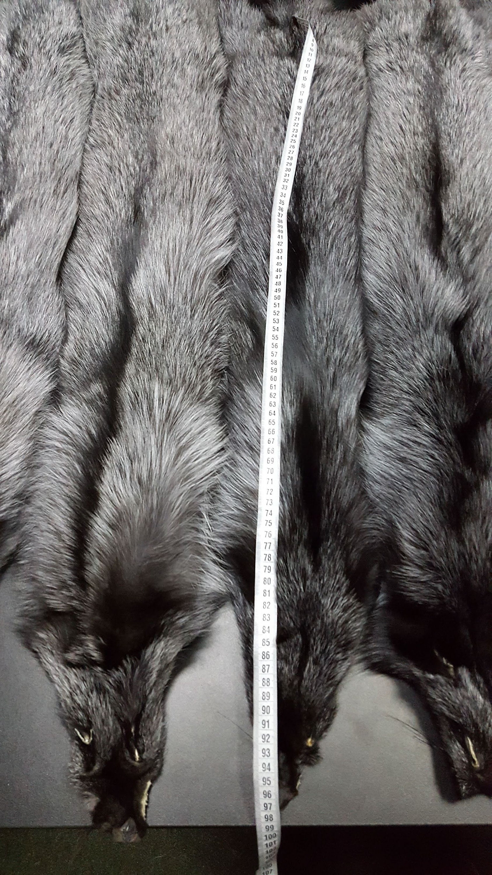 Silver fox pelt pelt silver fox fox fur fox pelt silver | Etsy