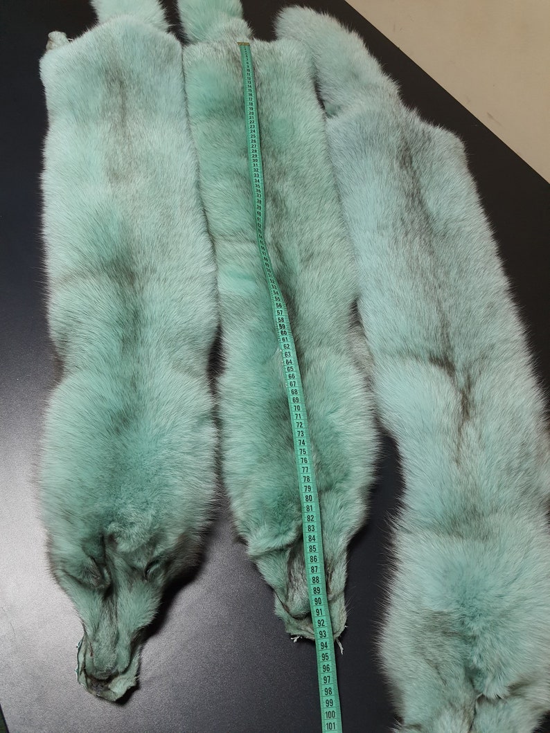 Light Green Fox Pelt Light Green Shadow Fox Pelt Light Green - Etsy