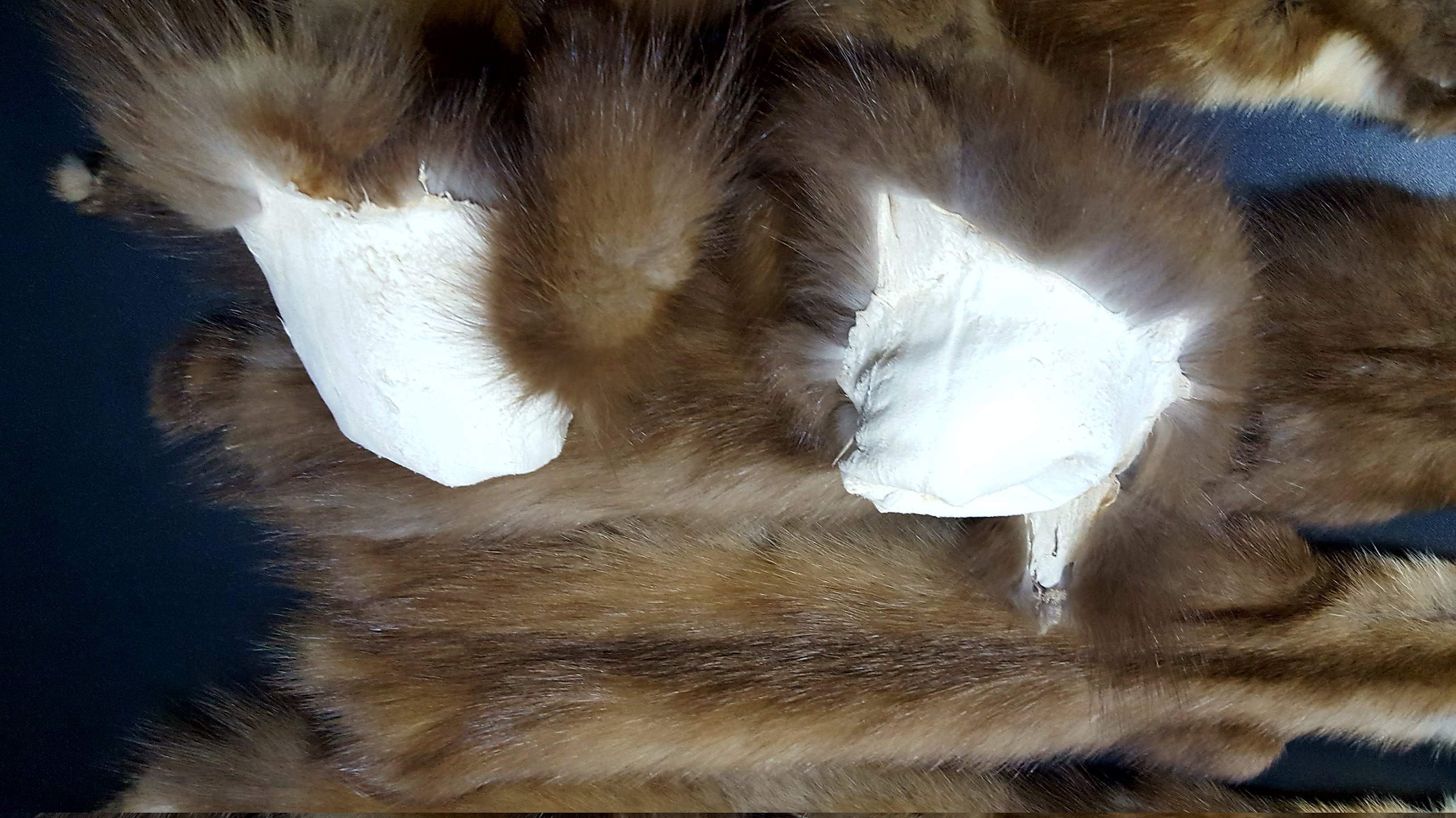 Marten Pelt, Marten Skin, Marten Hide, Marten Fur, Real Fur, Marten Fur ...