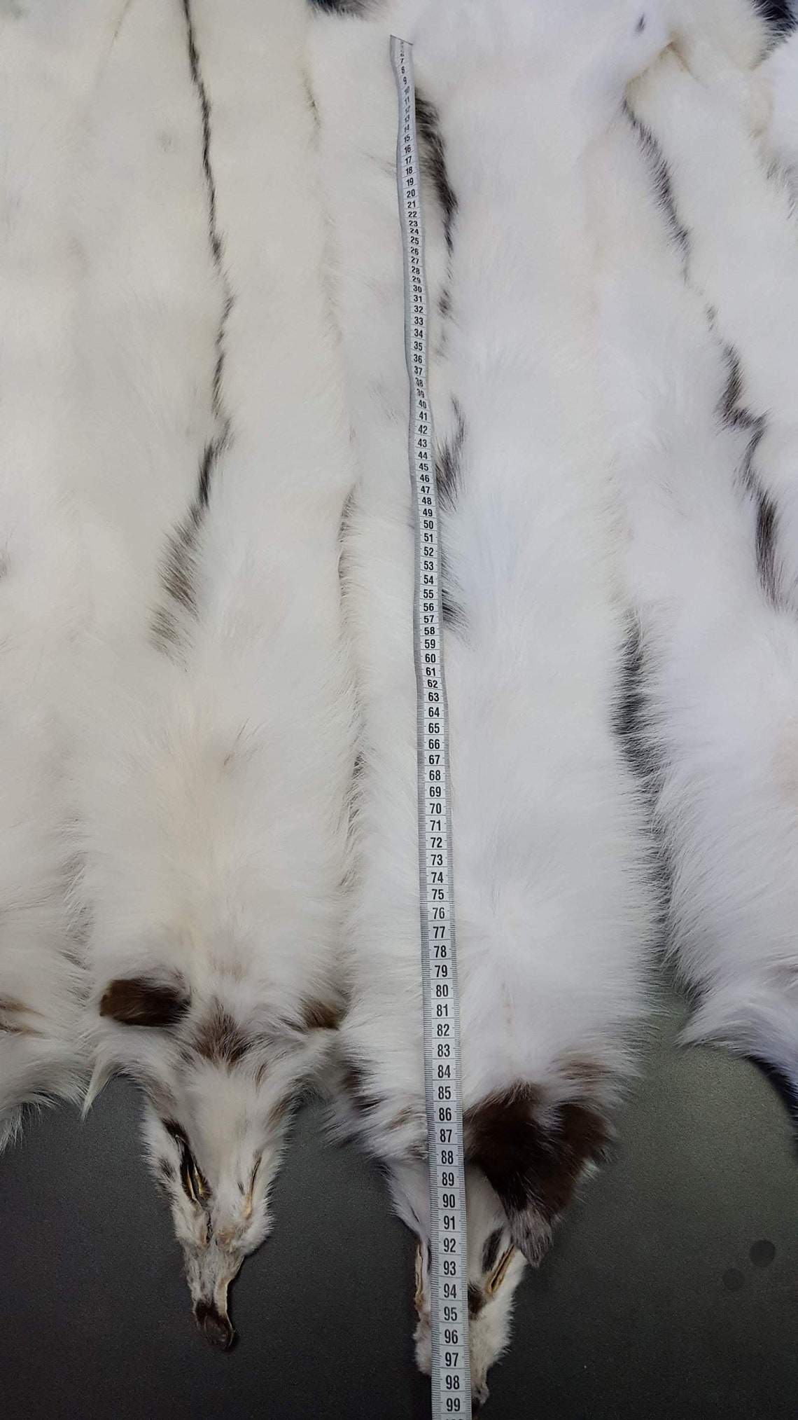 White Fox Pelt Fox Pelt Fox Pelts White Marble Fox Fur | Etsy