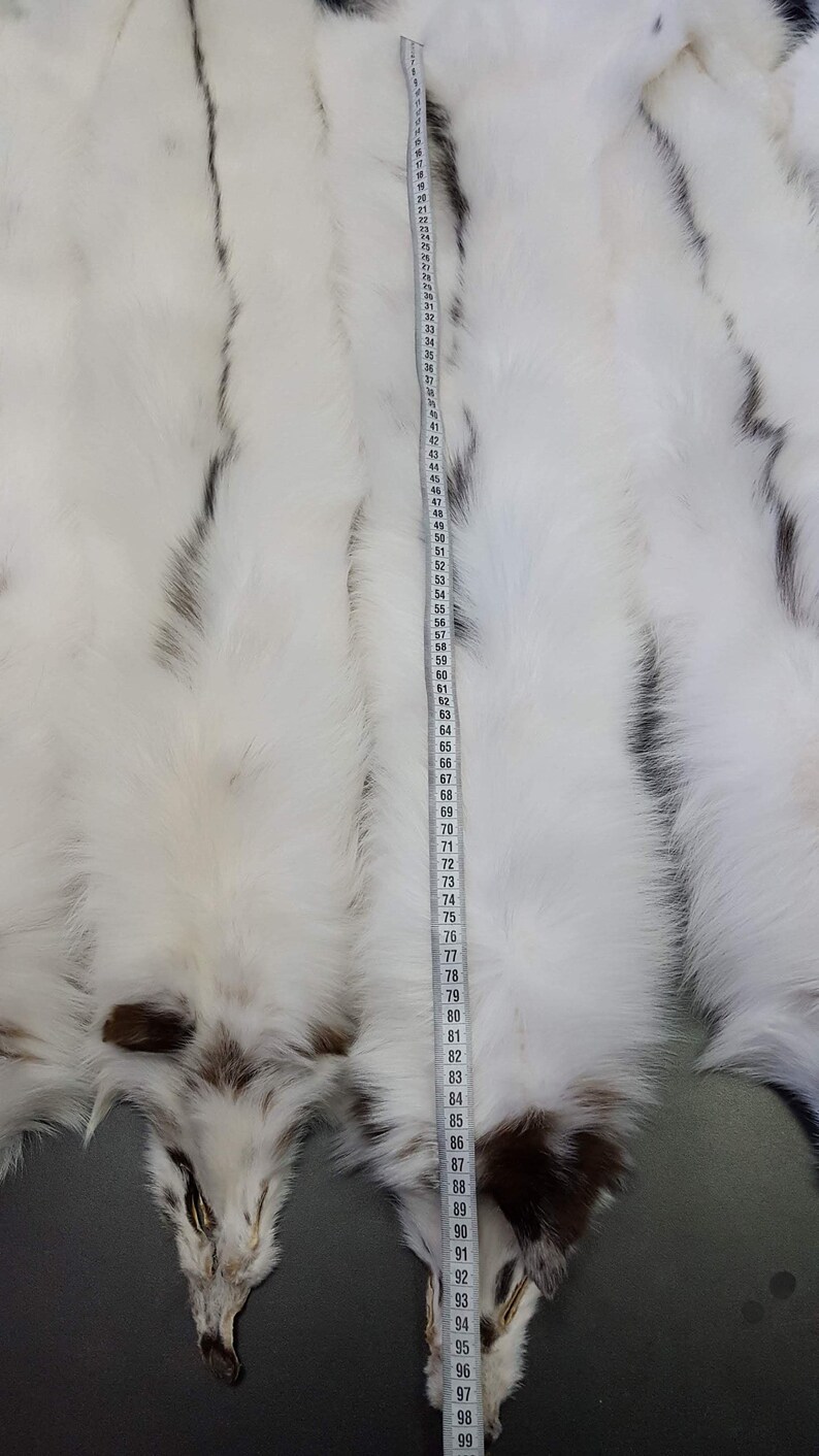 White Fox Pelt Fox Pelt Fox Pelts White Marble Fox Fur | Etsy