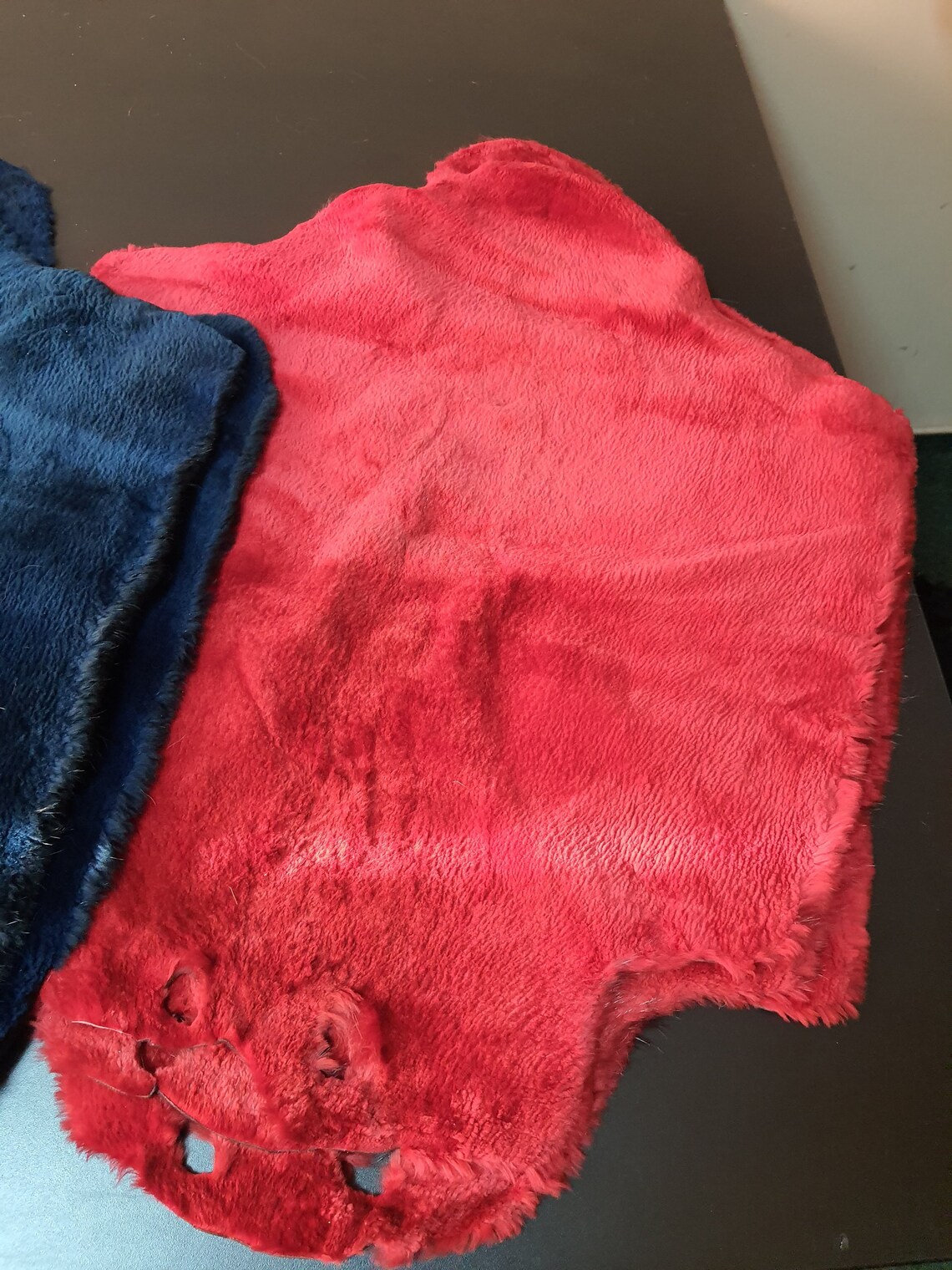 Dyed Sheared Beaver Pelt Colored Beaver Fur Paint Real | Etsy